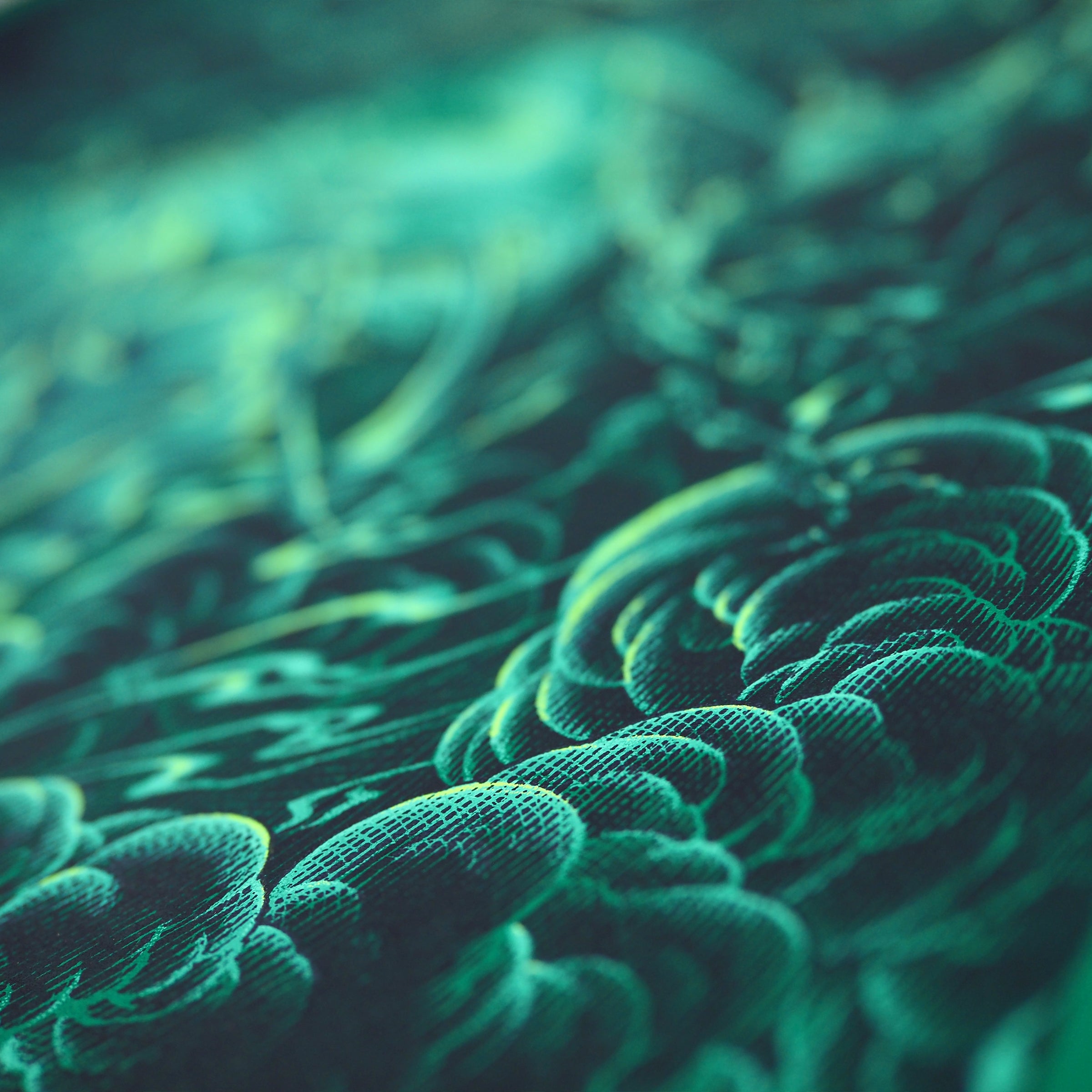 Siren of Death - Limited Edition Screen Print – Vinegar Syndrome